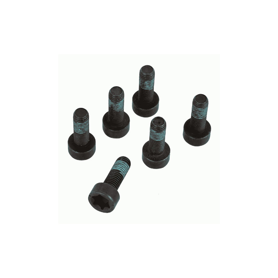 Sachs 1874 000 047 Screw Set, Flywheel – ML Performance
