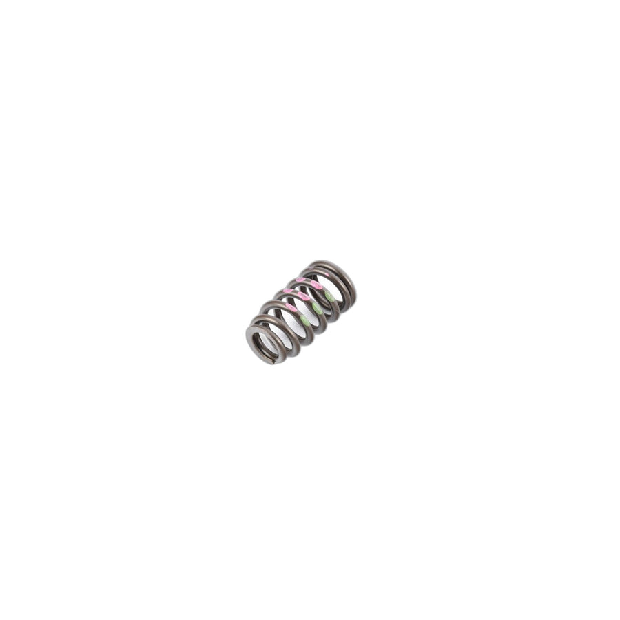 Genuine BMW 11347562716 F30 F21 Valve Spring (Inc. 118i, Cooper S ALL4 ...