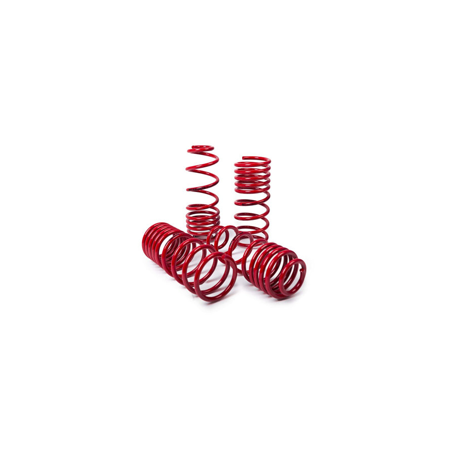 MTS Technik BMW Performance Springs - MTSXBM336 Lowering Springs - Set ...