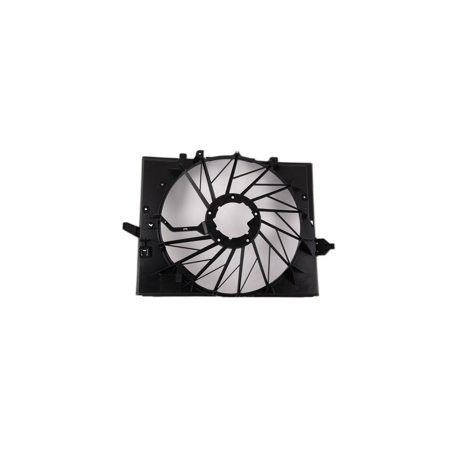 Genuine BMW 17417543283 E66 E63 E64 Fan Shroud (Inc. 530i, 645Ci & 523i ...