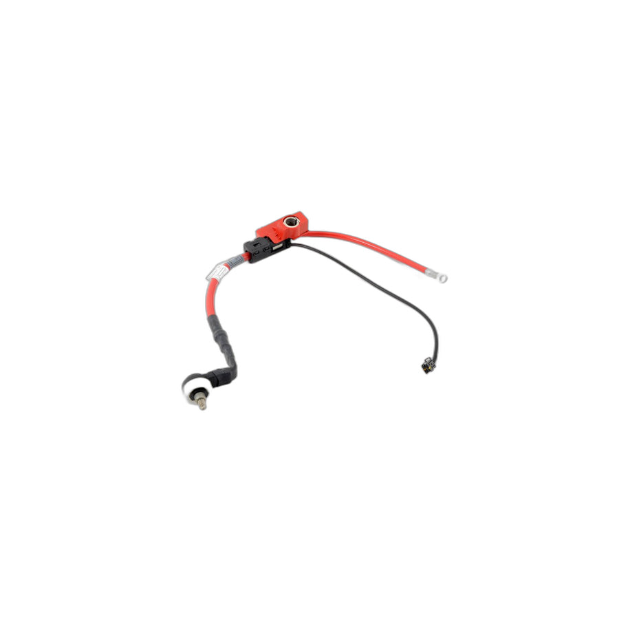 Genuine BMW 61127841239 E85 E86 Battery Cable (Plus Pole) SBK (Inc. Z4 ...
