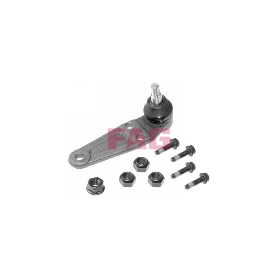 FAG 825 0216 10 Ball Joint – ML Performance