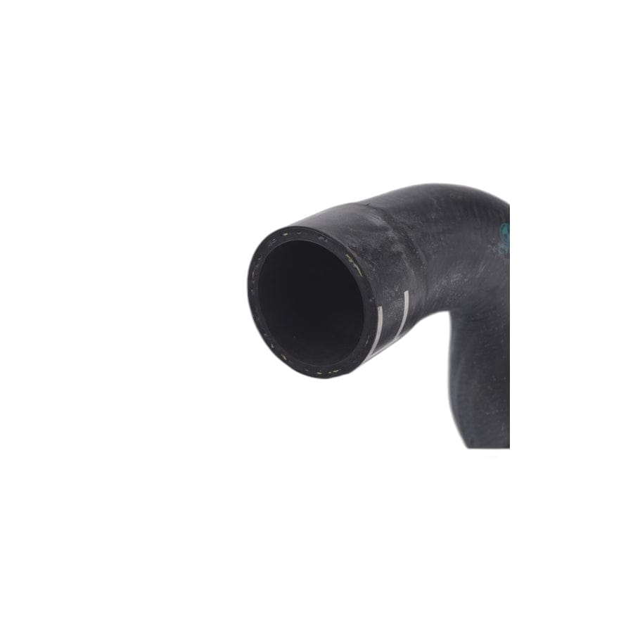 Genuine BMW 11537649300 F21 F20 F32 Feed Line (Inc. M235i, M135i ...