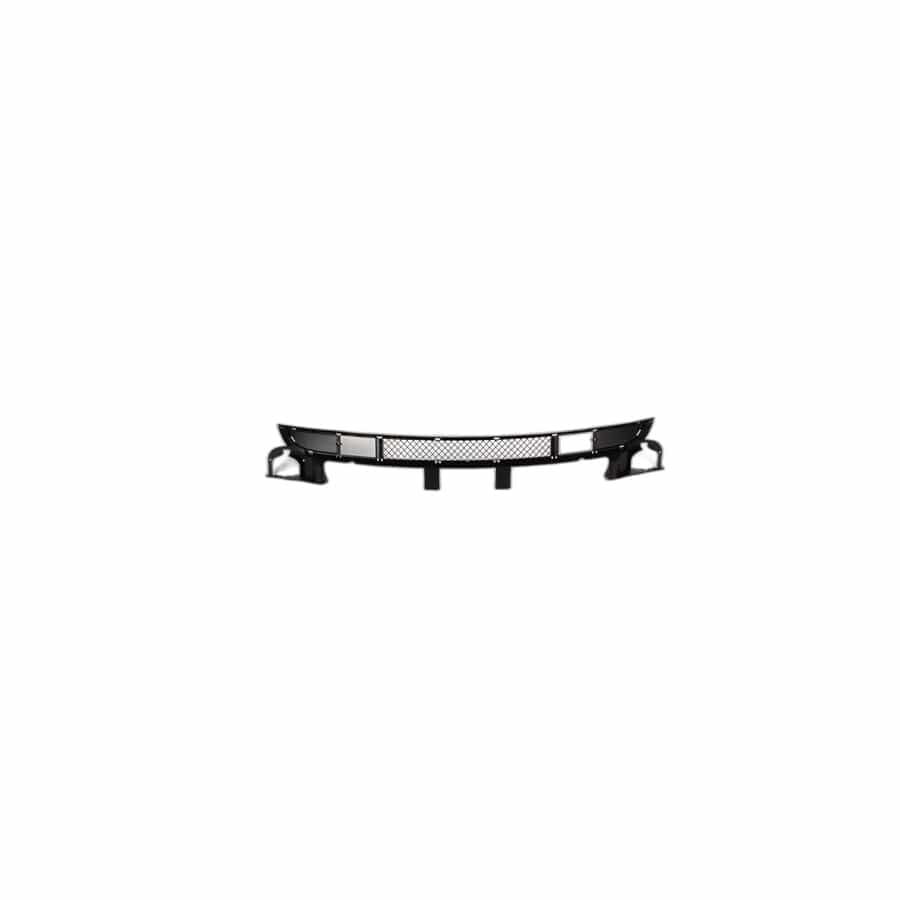 Genuine BMW 51117132054 E46 Grid, Bumper Front SCHWARZ (Inc. 330i & 33 ...