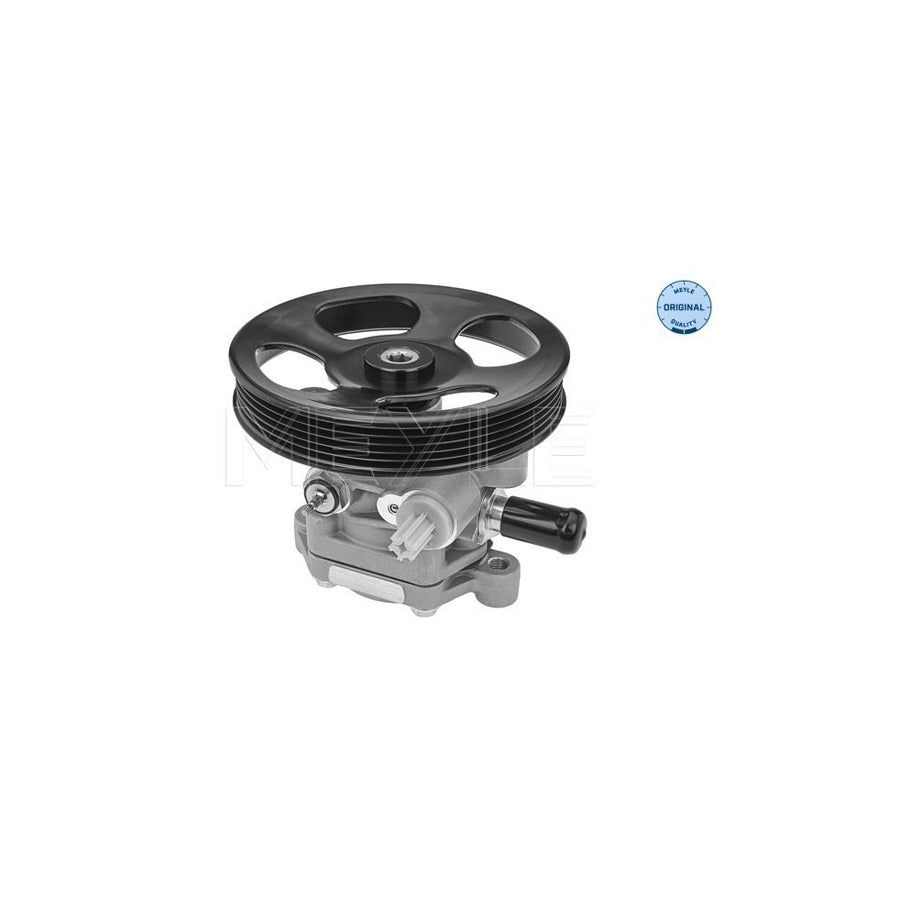 Meyle 32-14 631 0004 Power Steering Pump For Mitsubishi Lancer – ML ...