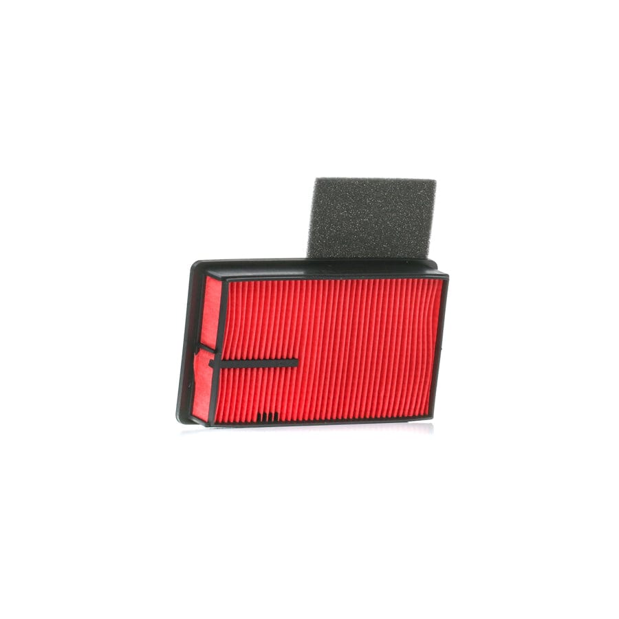 ASHIKA 20-00-MC02 Air Filter – ML Performance