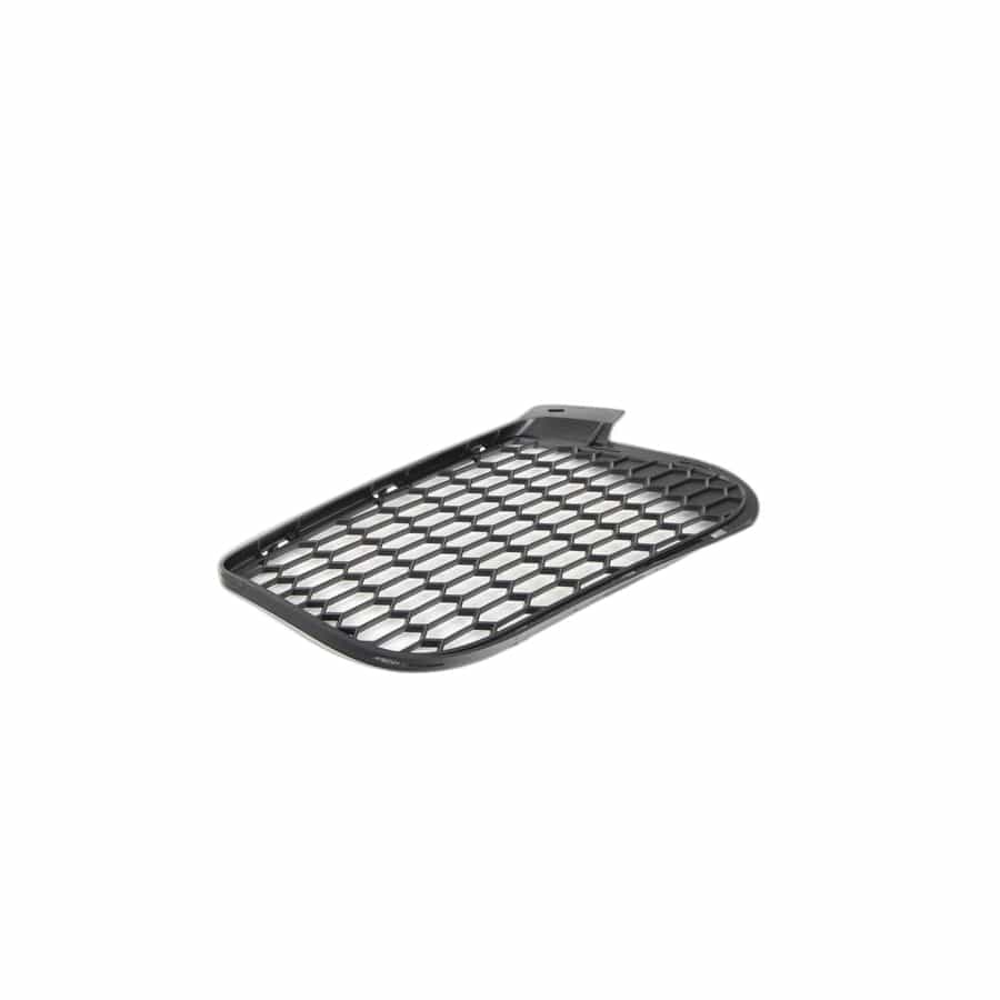 Genuine BMW 51117205577 E70 E71 Open Grid, Left (Inc. X5 M & X6 M) | ML ...