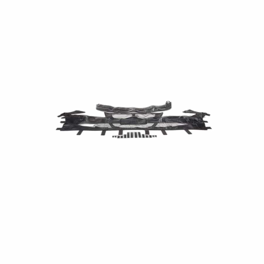 Genuine BMW 82110399151 E90 E91 Nose Mask E90 (Inc. 330i, 330xi & 325i ...