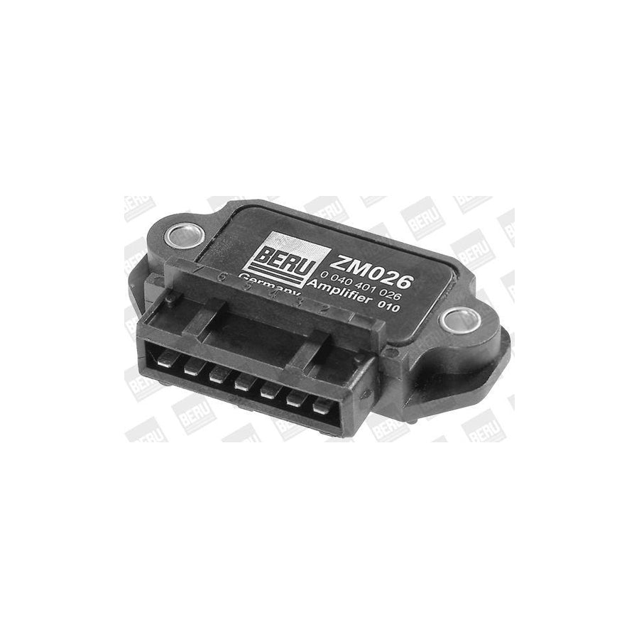 Beru ZM026 Ignition Module – ML Performance