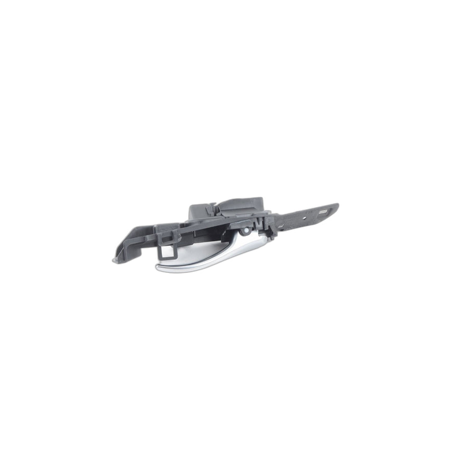 Genuine BMW 51426974298 E70 Door Handle, Rear Right (Inc. X5) | ML ...