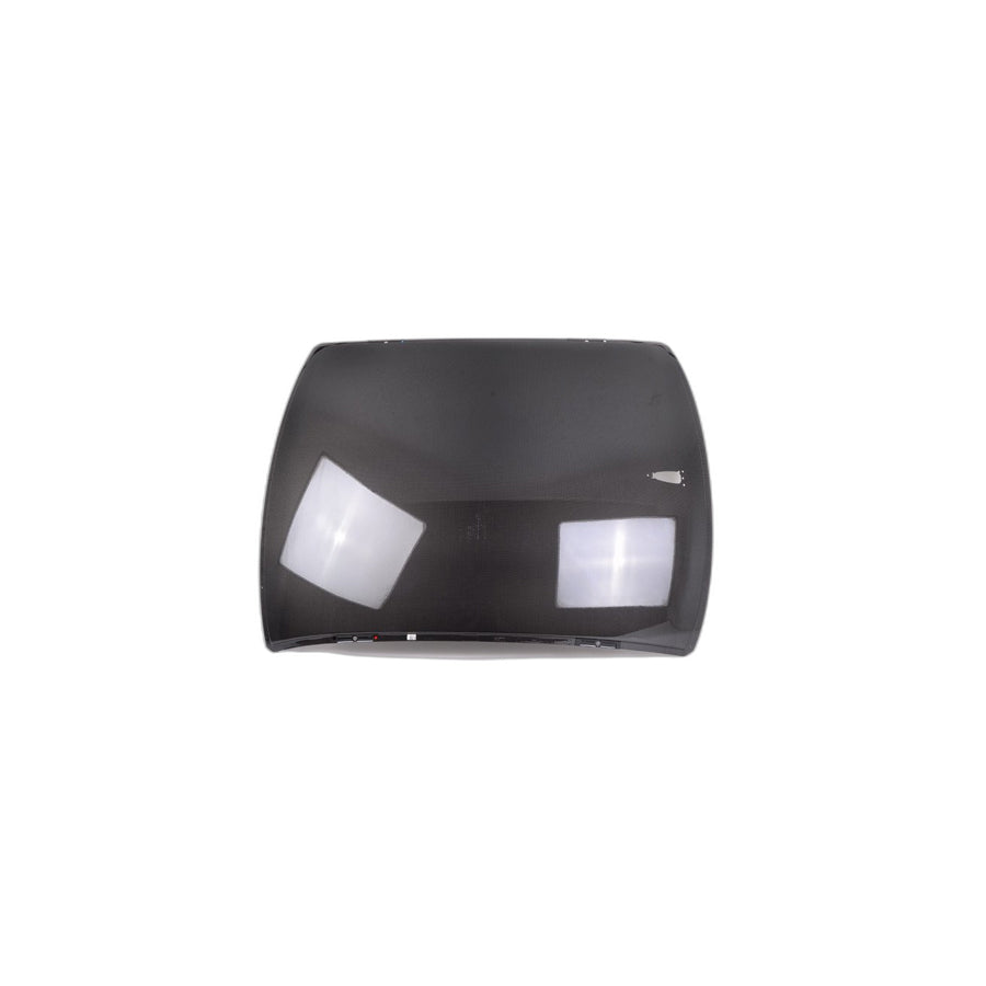 Genuine BMW 54108045327 E92 Roof Outer Panel In Carbon (Inc. M3) – ML ...