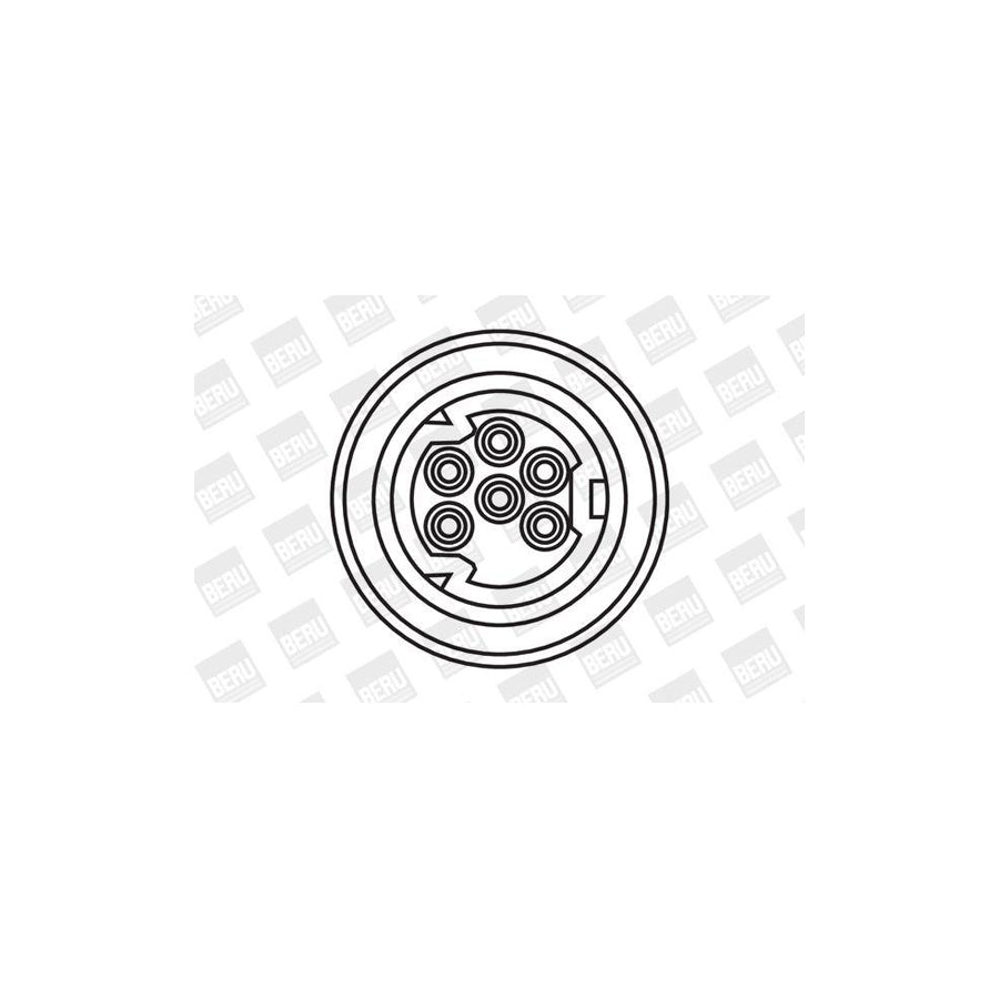 Beru Zs307 Ignition Coil – ML Performance