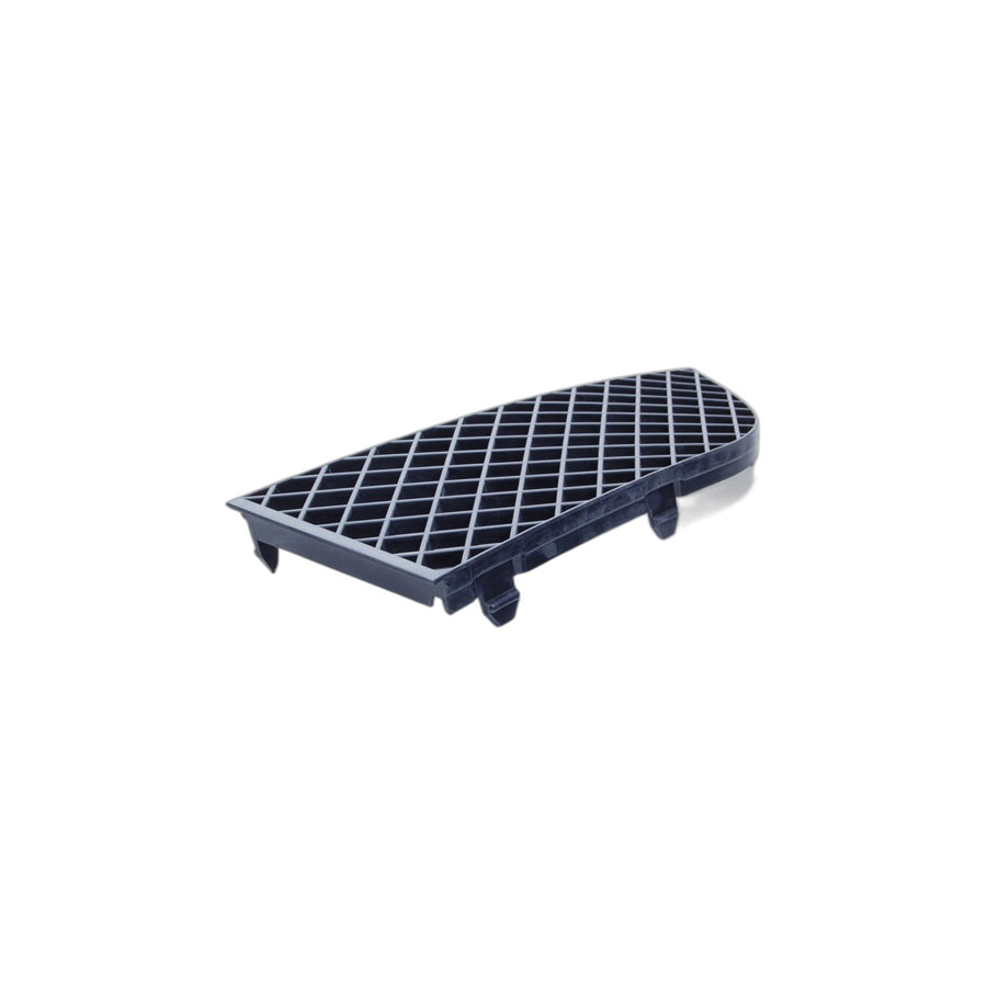 Genuine BMW 51117135563 E65 E67 E66 Grid Lateral Left (Inc. 745d, 730L ...